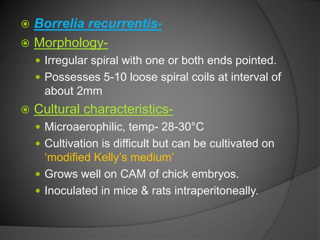Borrelia | PPTX