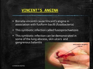 BORRELIA DISEASE RELAPSING FEVER K R.pptx