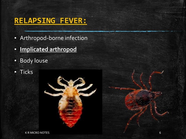 BORRELIA DISEASE RELAPSING FEVER K R.pptx