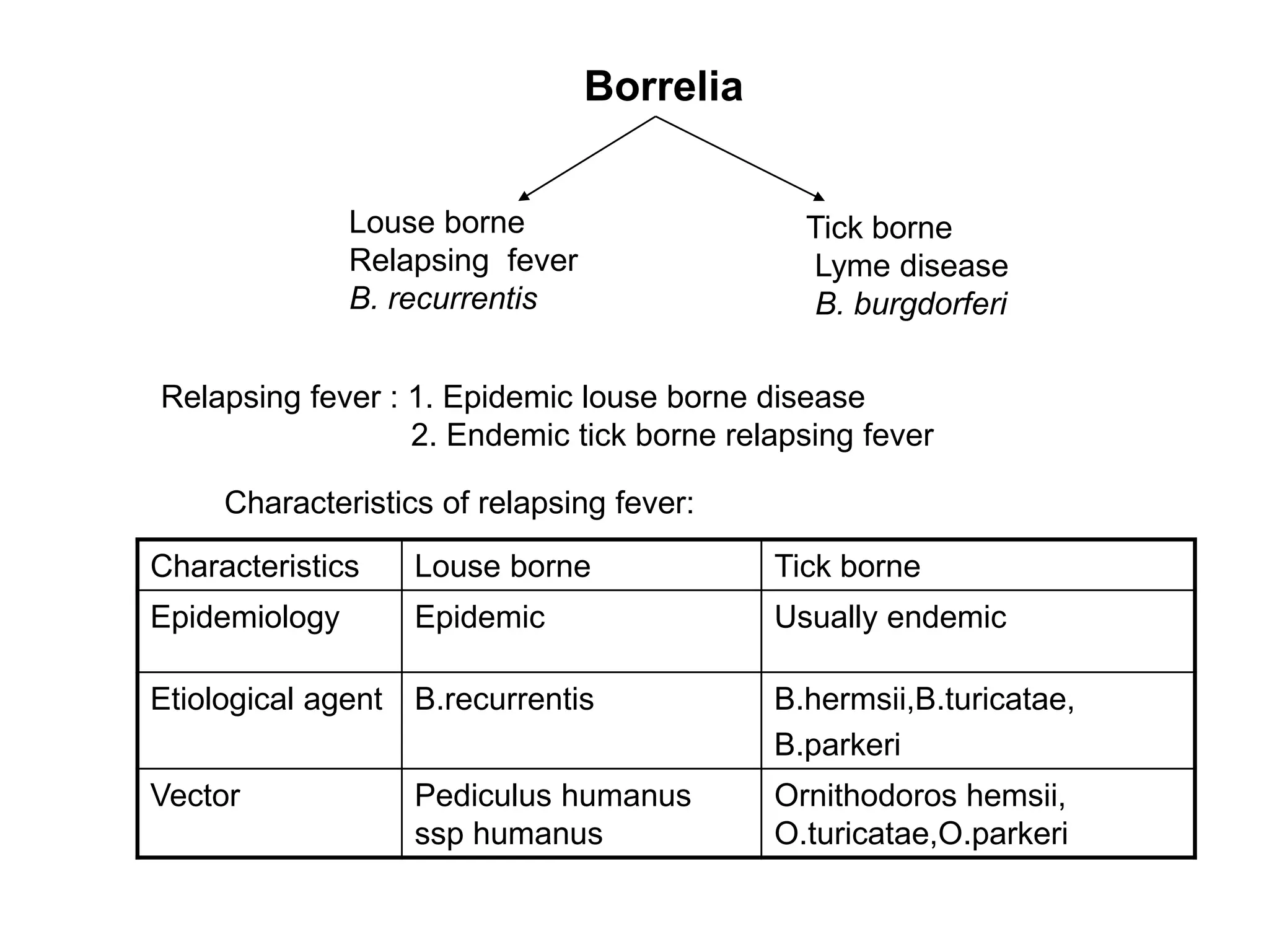 Borrelia,leptospira.ppt