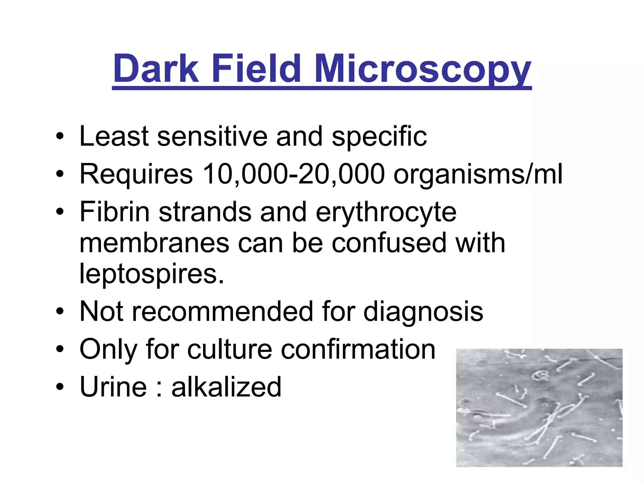 Borrelia,leptospira.ppt