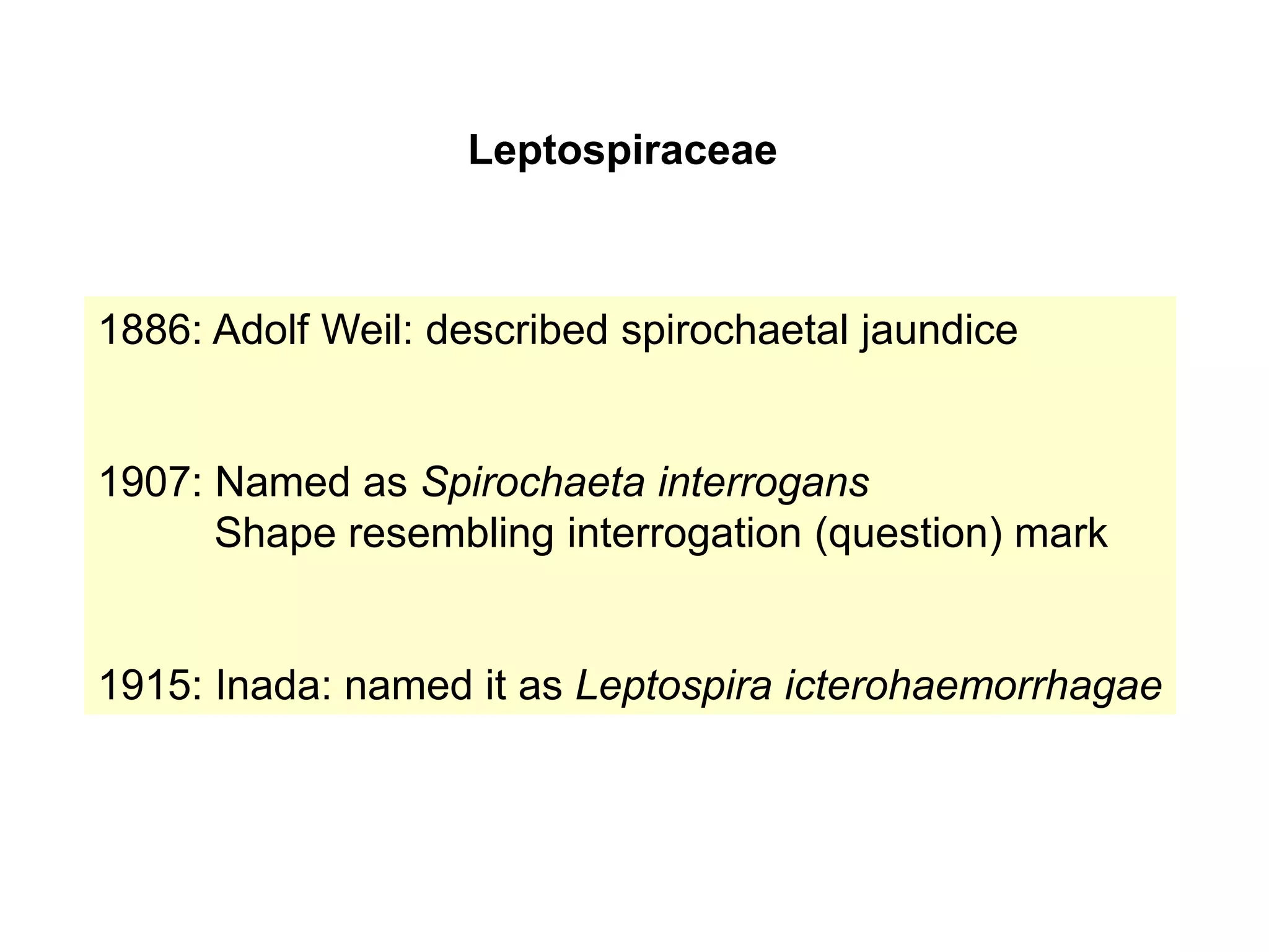 Borrelia,leptospira.ppt