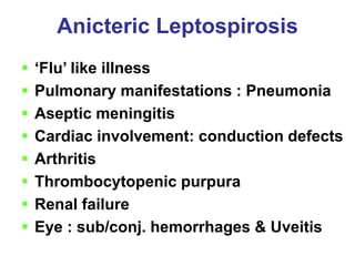 Borrelia,leptospira.ppt