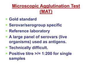Borrelia,leptospira.ppt