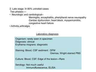 Borrelia,leptospira.ppt