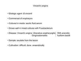 Borrelia,leptospira.ppt