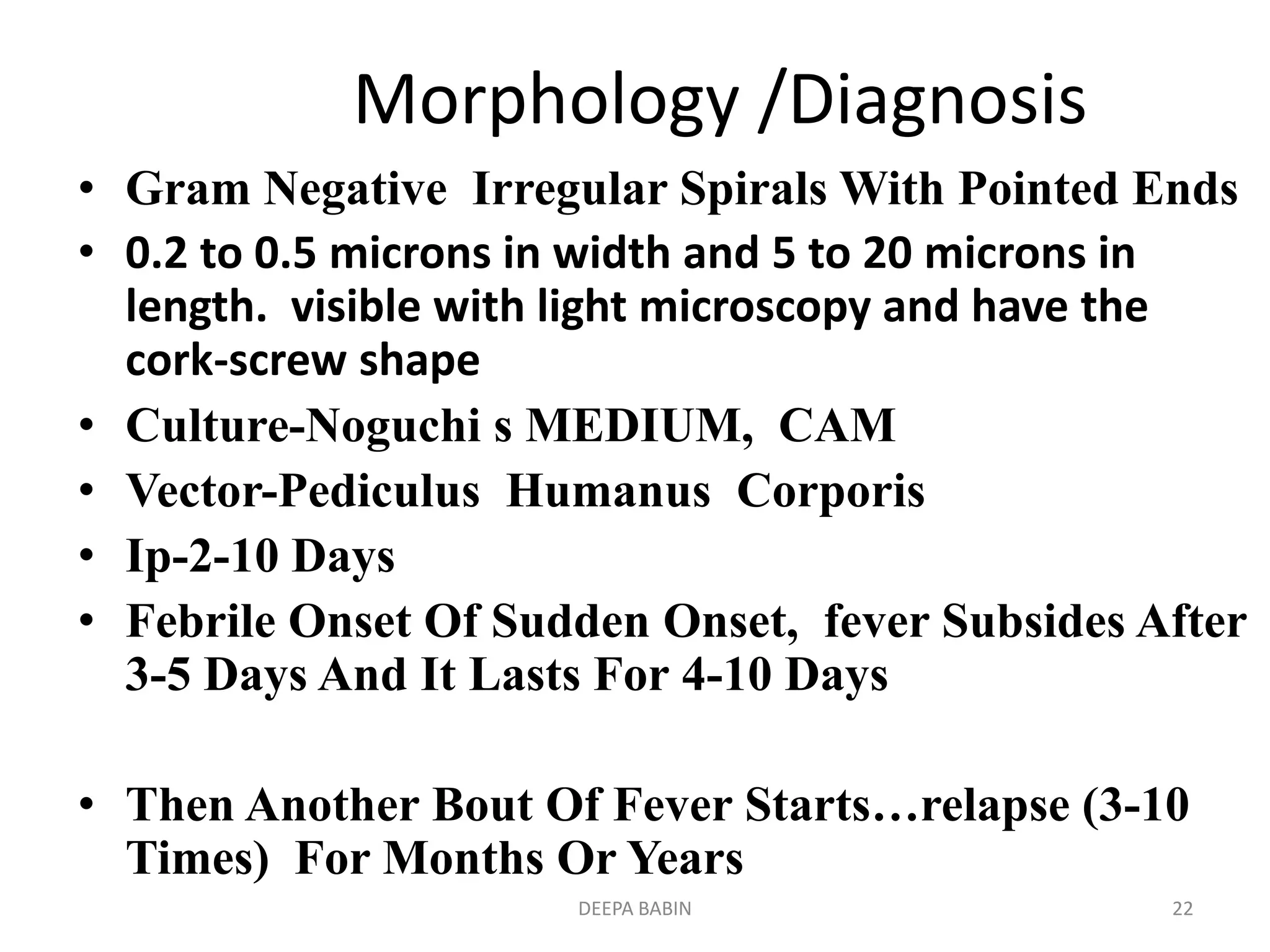 Borrelia spp deepa babin | PPTX