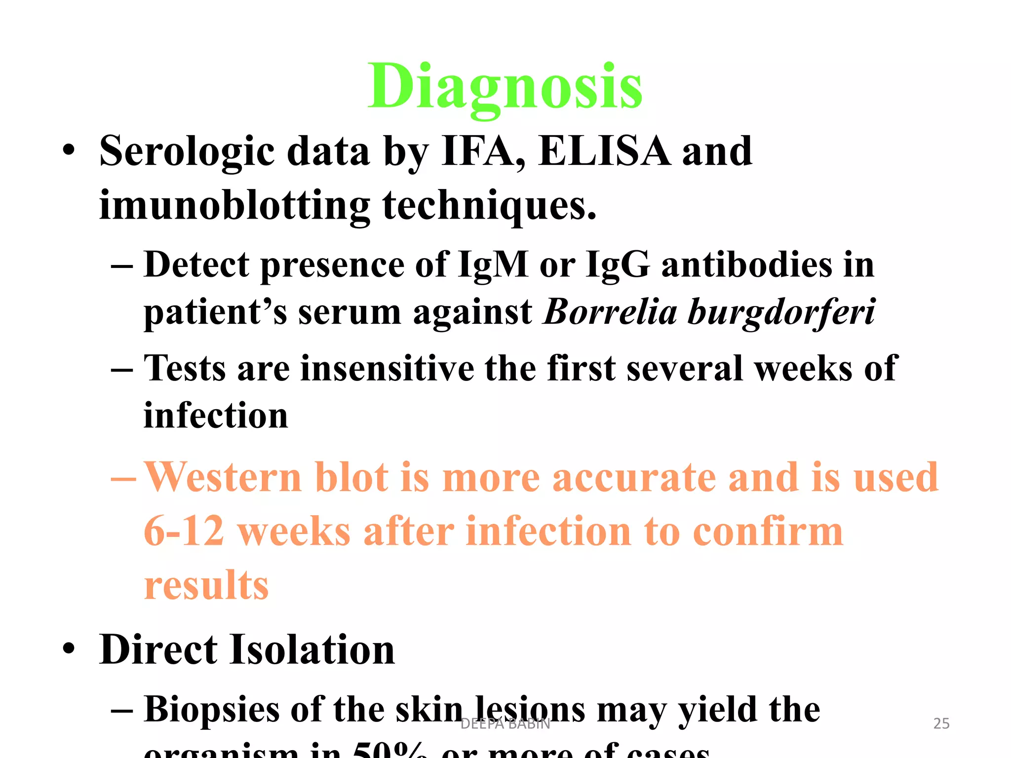 Borrelia spp deepa babin | PPTX