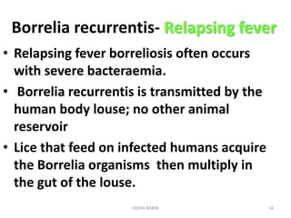 Borrelia spp deepa babin | PPTX