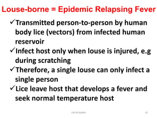 Borrelia spp deepa babin | PPTX