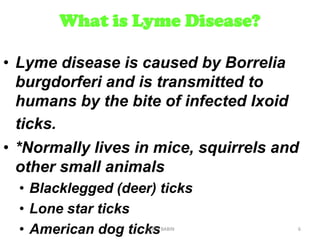 Borrelia spp deepa babin | PPTX | Infectious Diseases | Diseases and ...