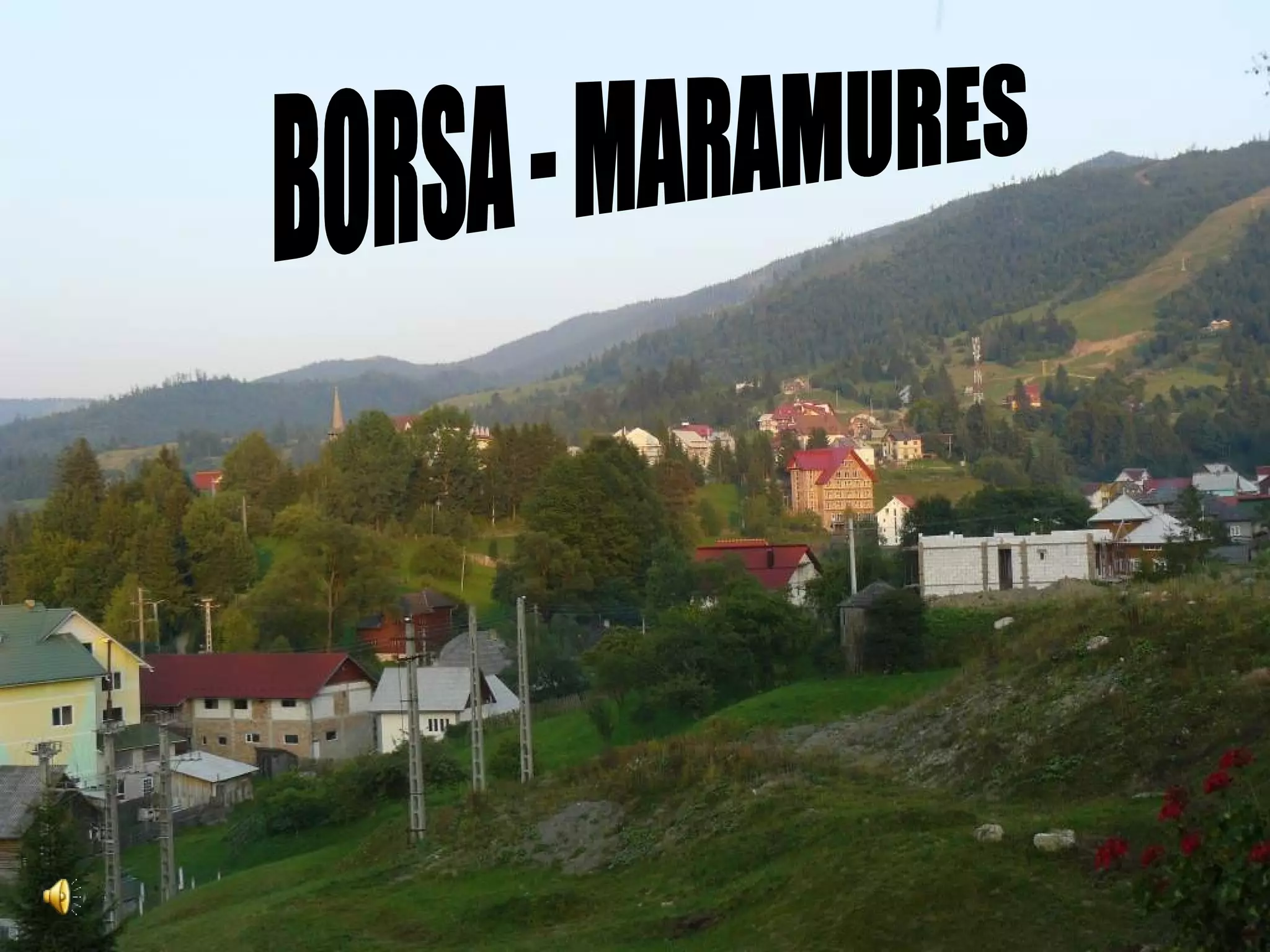 BORSA - MARAMURES | PPT