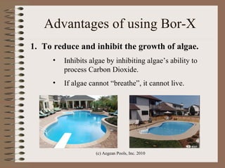 Bor X Presentation | PPT