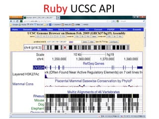 H Mishima - Biogem, Ruby UCSC API, and BioRuby | PPT