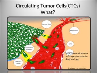 Cancer diagnosis using CTC detection | PPT | Cancer | Diseases and ...