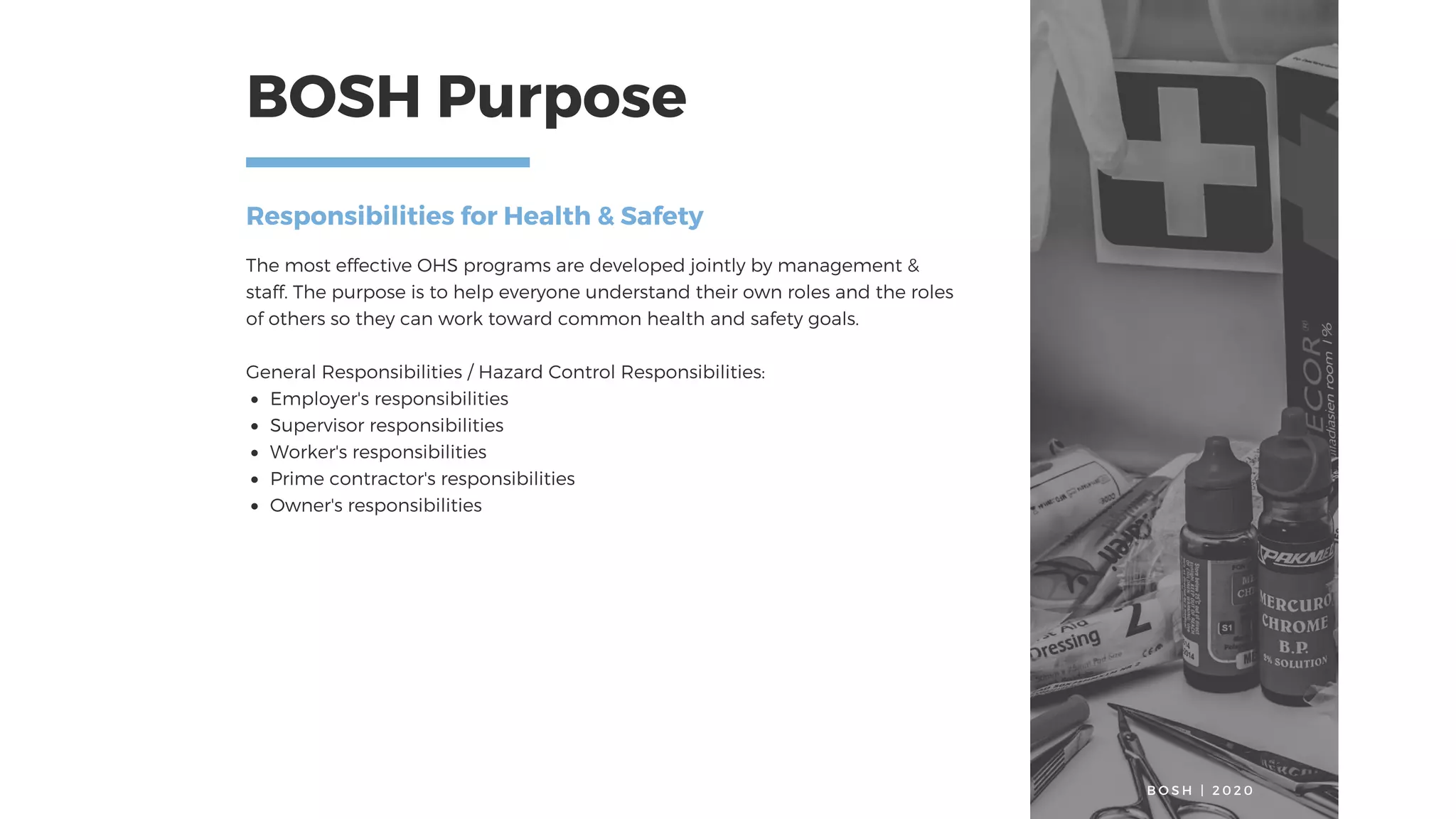 BOSH Presentation Slide Deck - Maria Paula Tolentino, Safety Officer | PDF