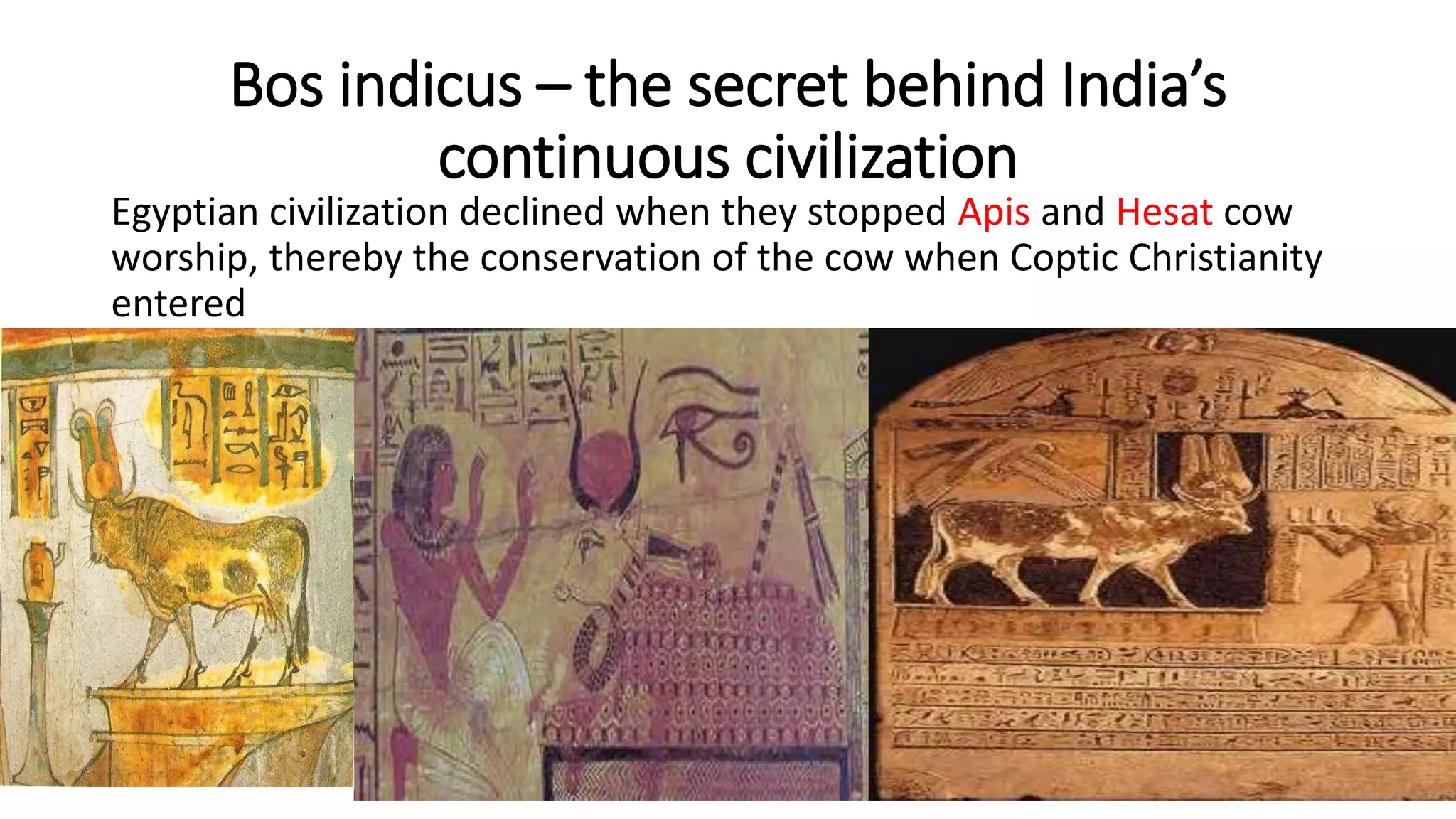 Bos indicus – india’s boss | PPT