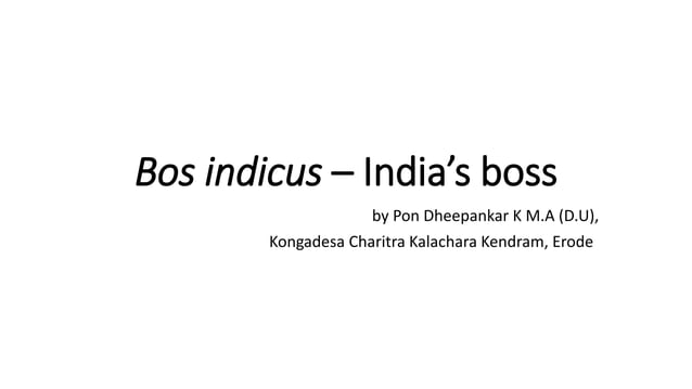 Bos indicus – india’s boss | PPT