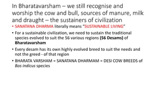 Bos indicus – india’s boss | PPT