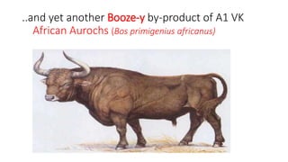 Bos indicus – india’s boss | PPT