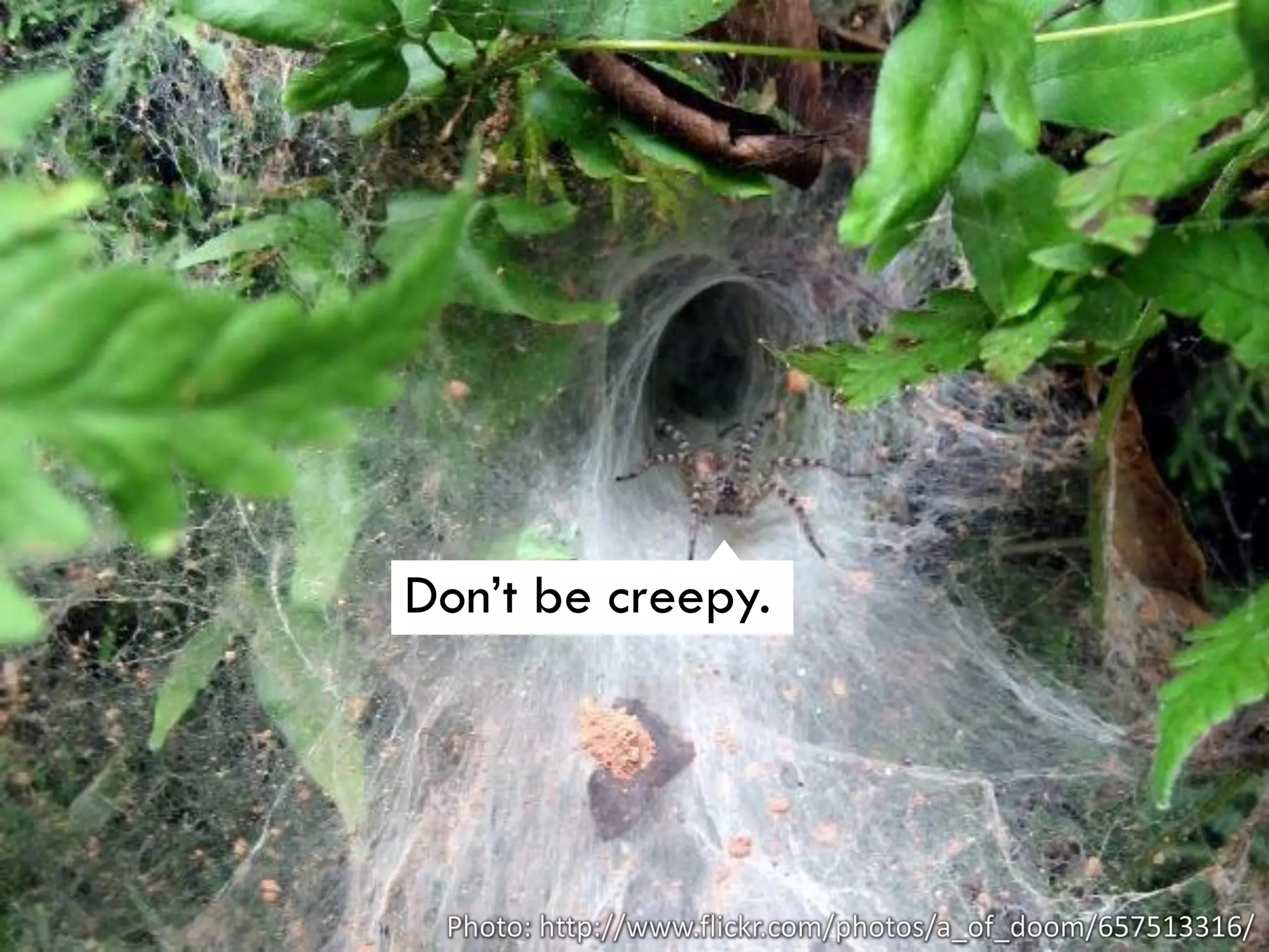 Engineering the Evaluation Funnel Pecha Kucha | PDF | Technology ...