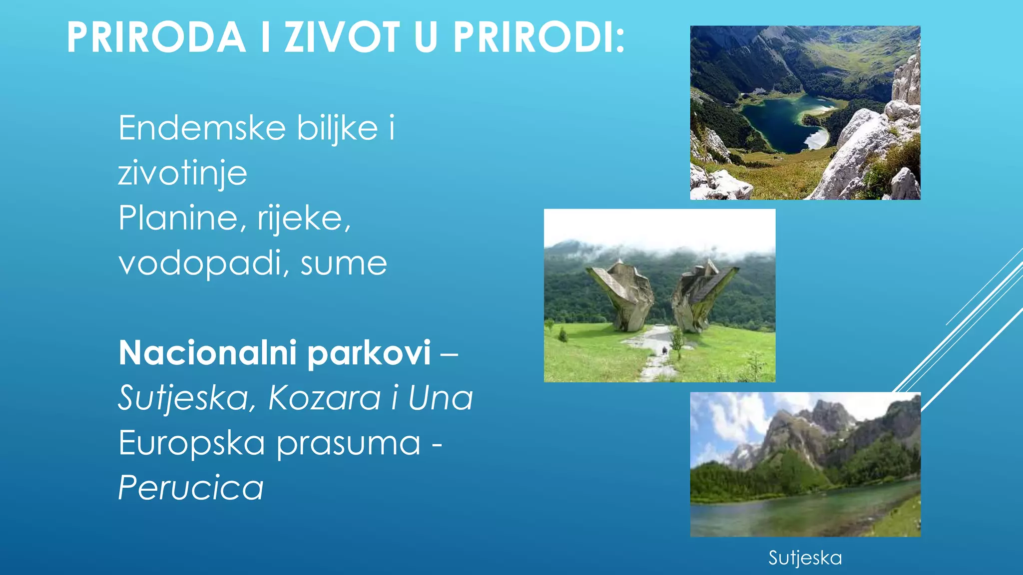 Bosna i Hercegovina (Bosnia and Herzegovina) ppt by Emrah Ponjevic | PPSX