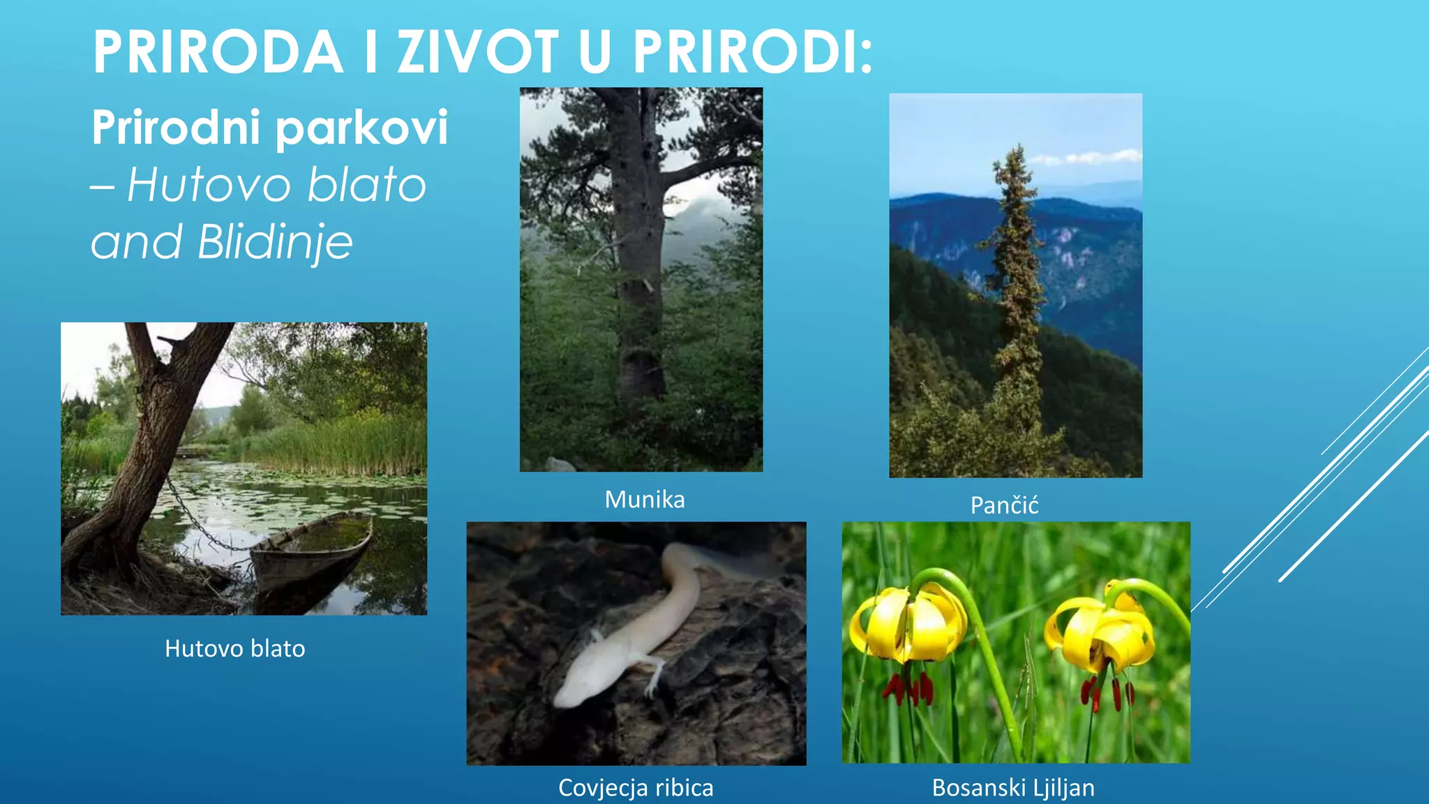Bosna i Hercegovina (Bosnia and Herzegovina) ppt by Emrah Ponjevic | PPSX