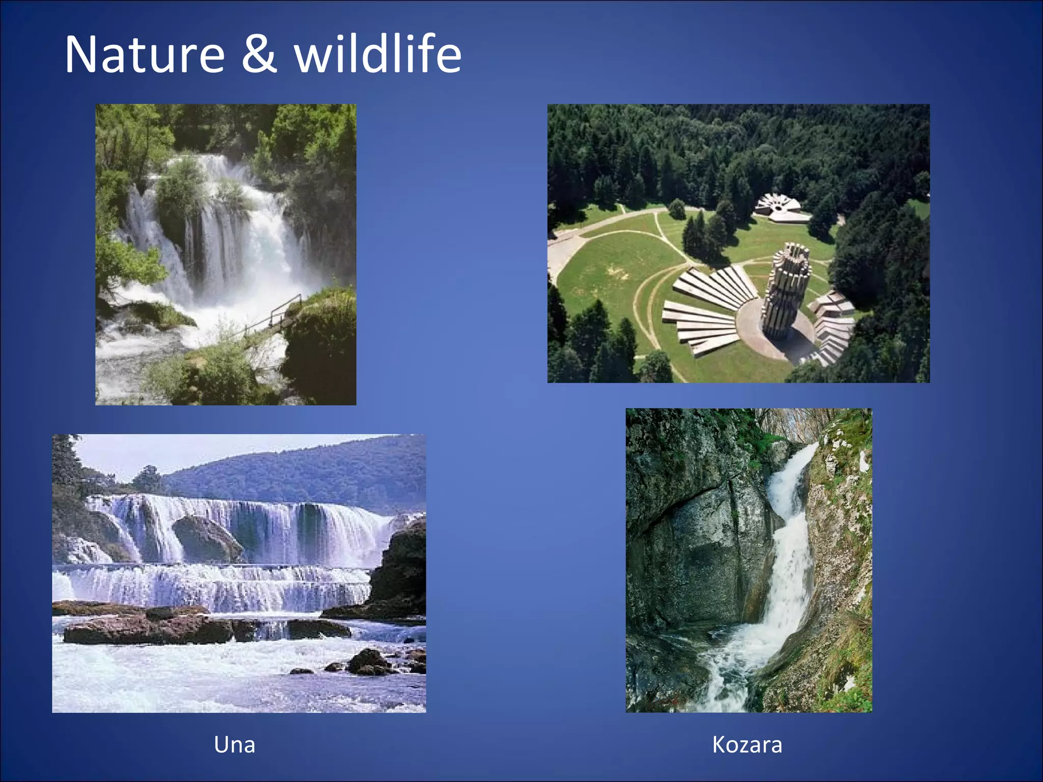 Bosnia And Herzegovina by Sanjin Hadziomerovic | PPT