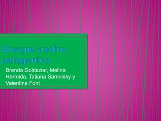Bosque andino patagonico brenda , mely, taty, valen | PPTX