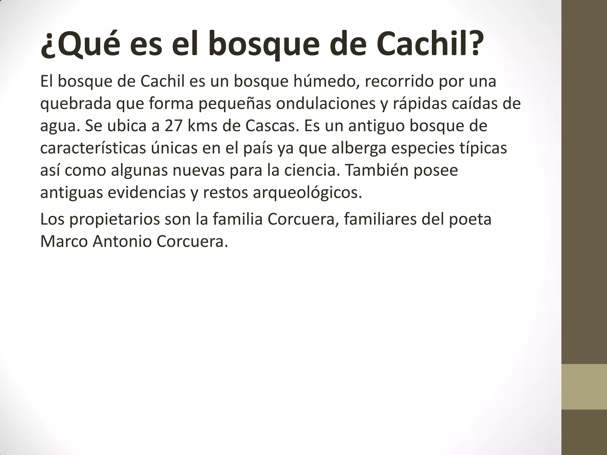 Bosque de cachil | PDF
