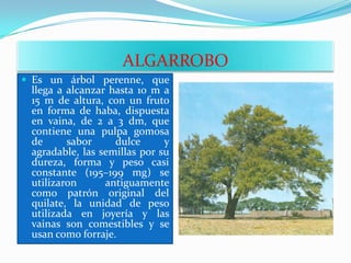 Bosque de pomac | PPTX