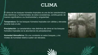 Bosque Húmedo Tropical - Biologia.pdf