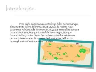 Bosques de puerto rico jerika | PPT