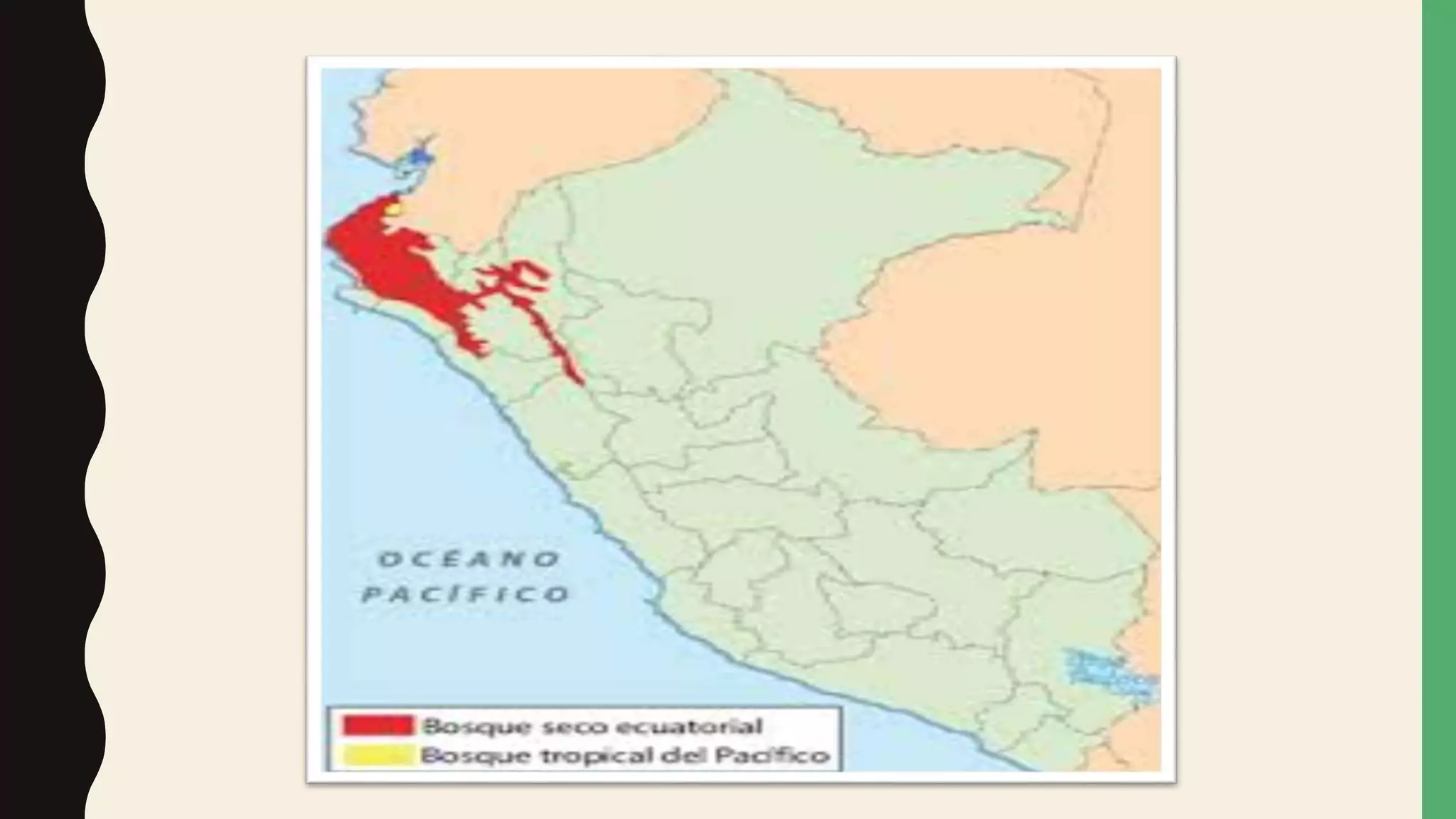 Bosque seco ecuatorial | PPT