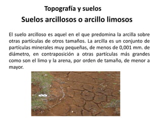 Bosque seco premontano Mauricio De La Cruz-Glendy Escobar | PPTX