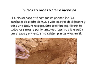 Bosque seco premontano Mauricio De La Cruz-Glendy Escobar | PPTX