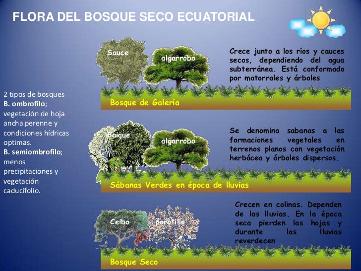 ECORREGIONES Bosque seco ecuatorial