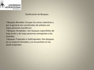 Bosques Venezolanos | PPTX