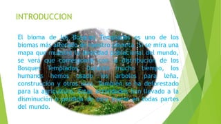 Bosque templado | PPTX