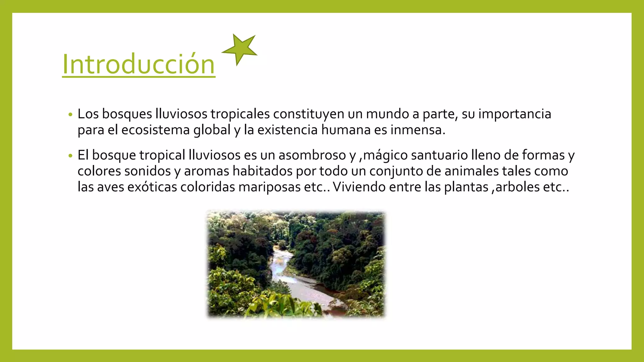 Bosque tropical lluvioso (5) | PPTX