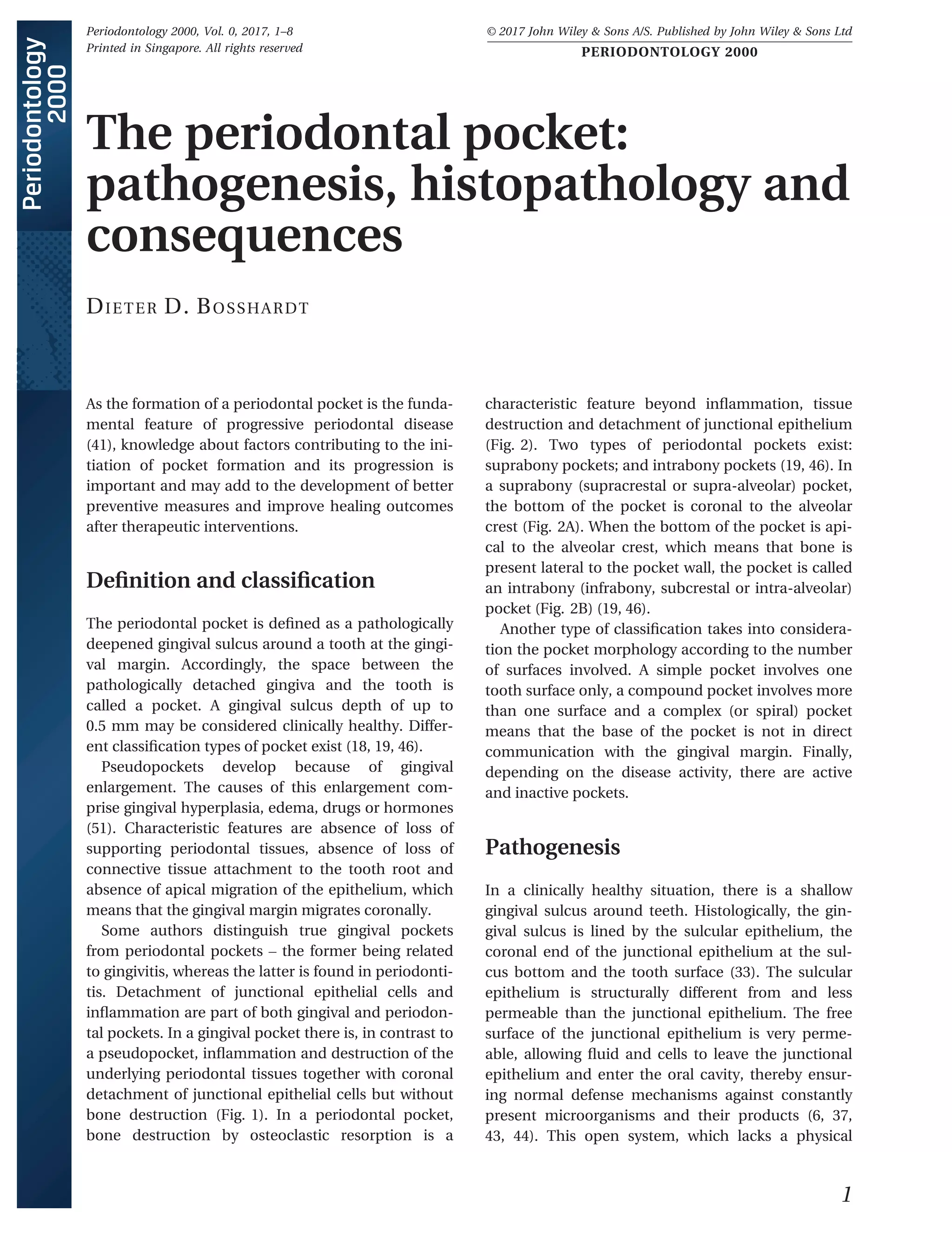 The periodontal pocket: pathogenesis, histopathology and consequences ...