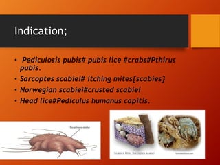 boss lady 🖤(0).pptx