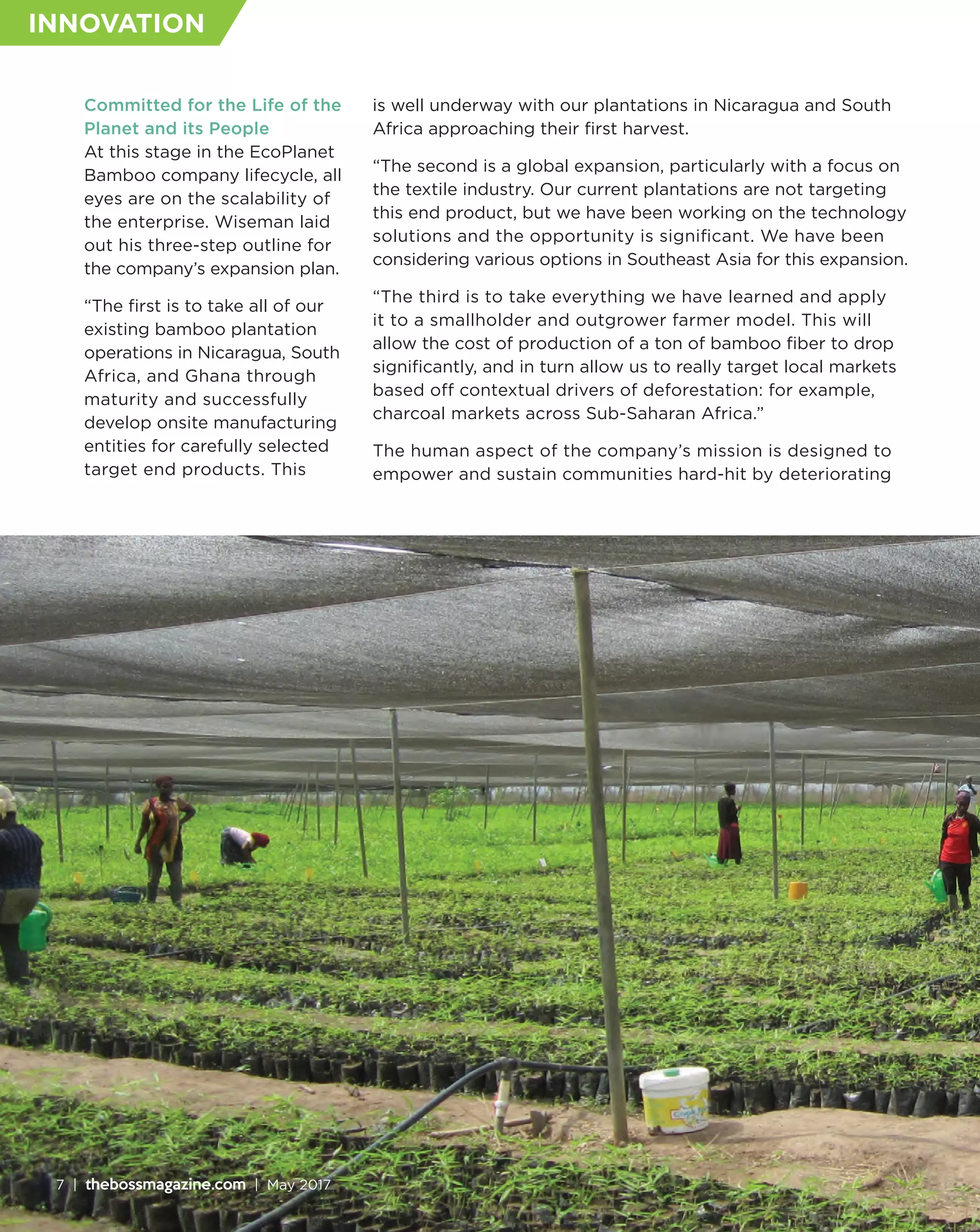 EcoPlanet Bamboo Troy Wiseman Article | PDF