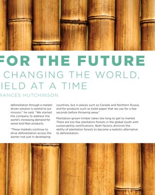 EcoPlanet Bamboo Troy Wiseman Article | PDF