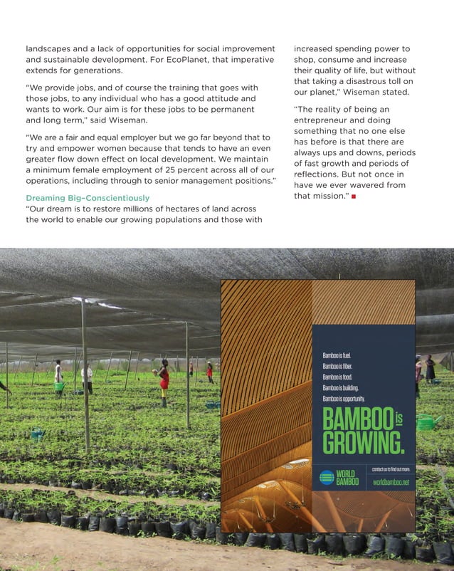 EcoPlanet Bamboo Troy Wiseman Article | PDF
