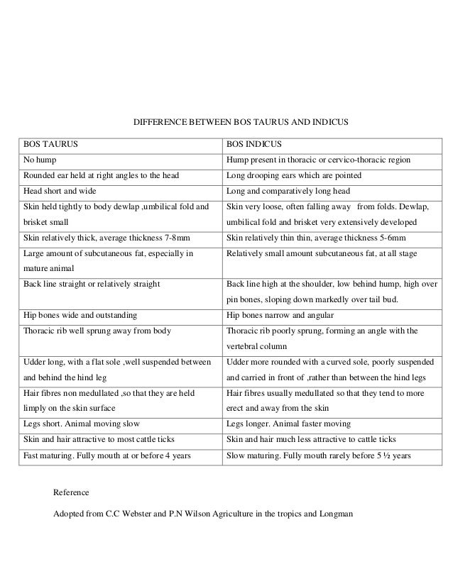 DIFFERENCE BETWEEN BOS TAURUS AND INDICUS DIFFERENCE BETWEEN BOS TAURUS AND INDICUS
