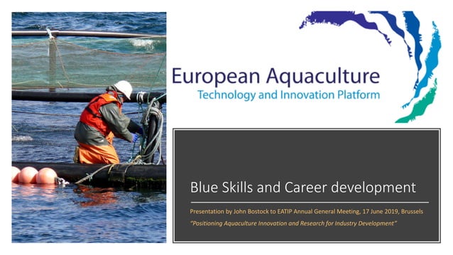 Blue Skills and Career Development - presentation to EATIP 2019 | PPT