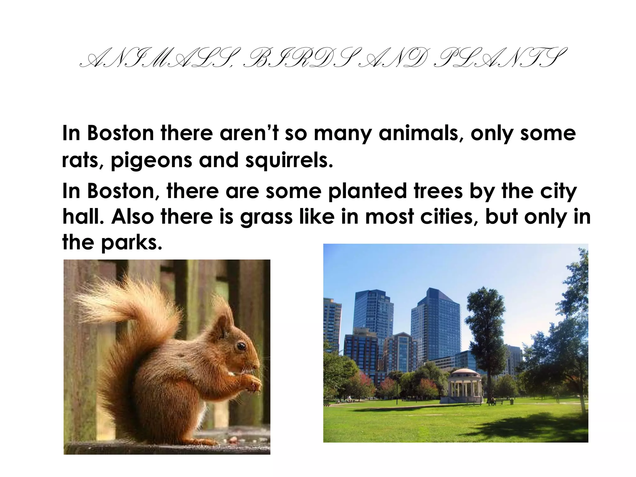 Boston | PPT