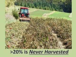 Jack Leng MAS 2019 | PPT