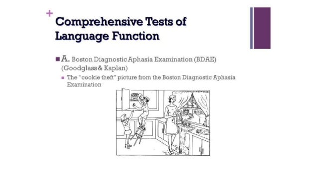 Boston diagnostic aphasia examination